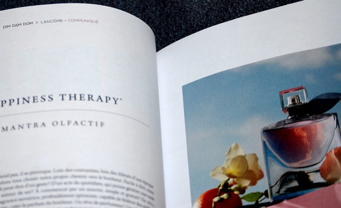 la publicité selon dim dam dom – PILE OU STRASS – Conseil éditorial ...